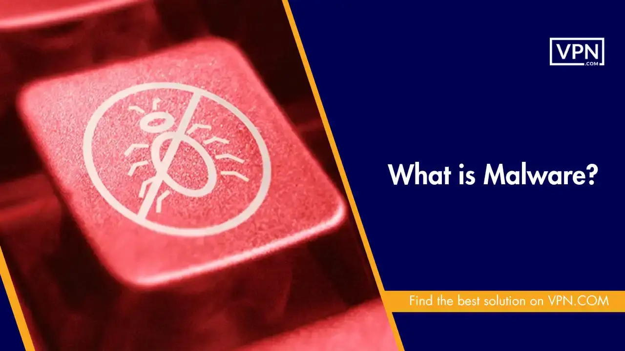 Malware, Spyware & Ransomware: Best Data Protection Tips